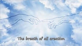 The Colors I See | PPT