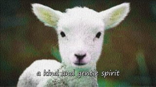 The Colors I See | PPT