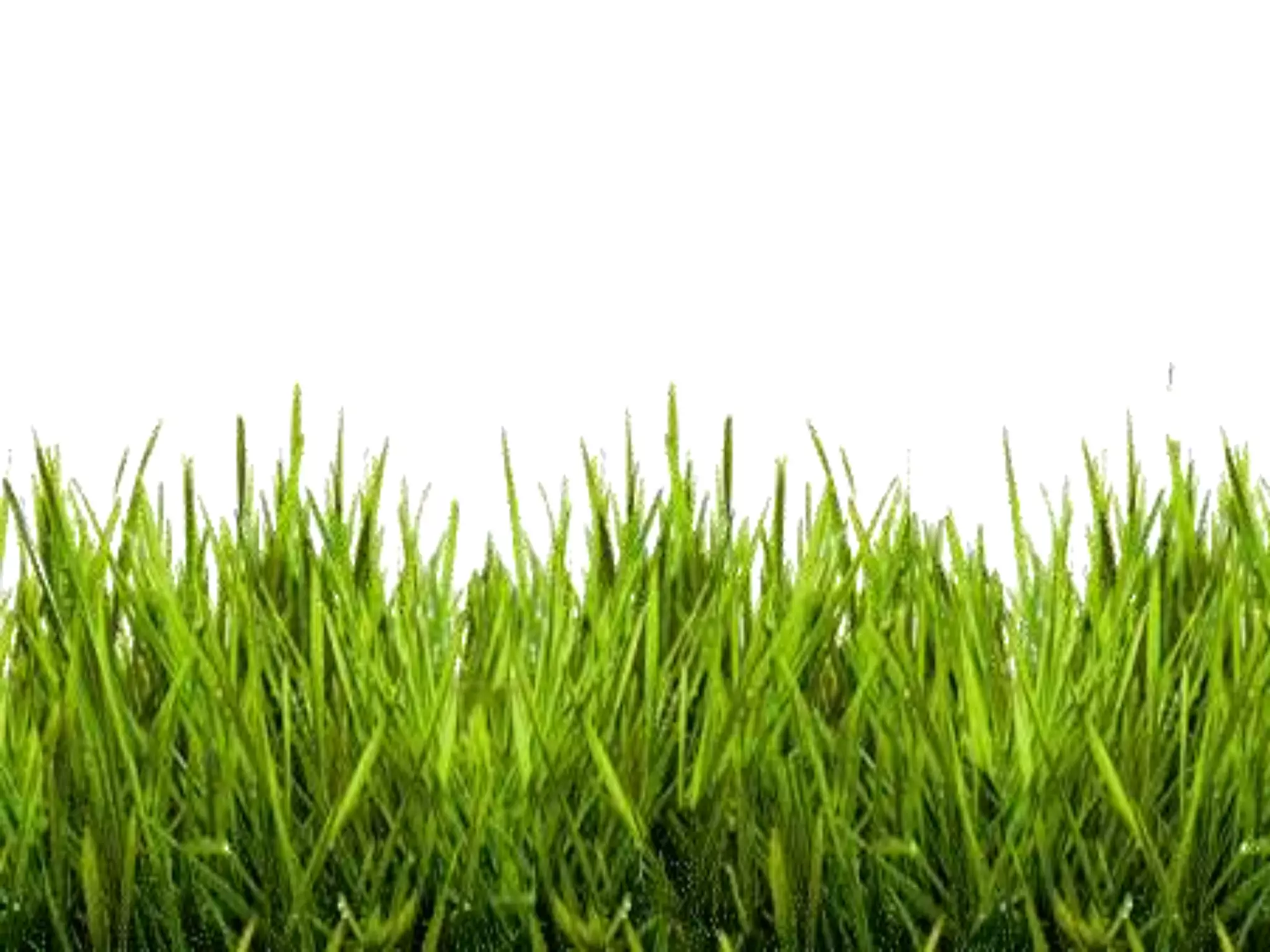 The colors of the world situation | PPTX