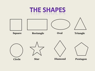 The colours and the shapes | PPTX