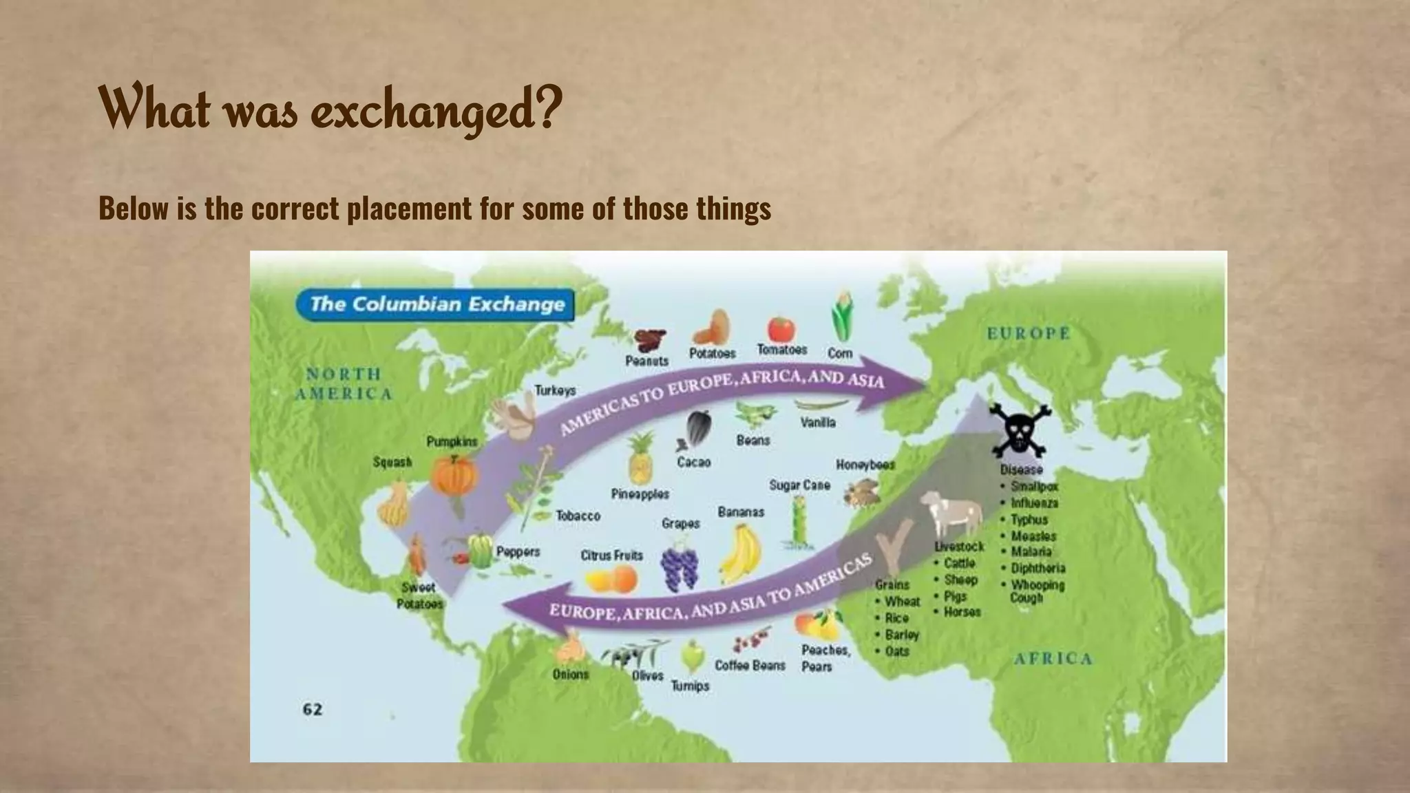 The Columbian Exchange- Hist 1020 | PPTX | Food & Drink