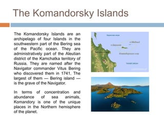 The commander islands | PPT