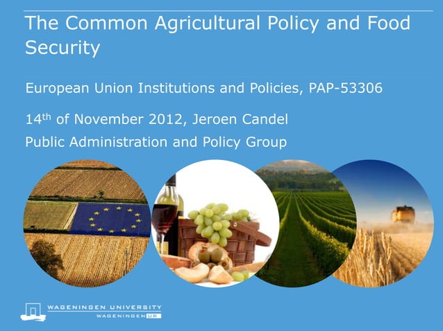 The common agricultural policy and food security | PPTX