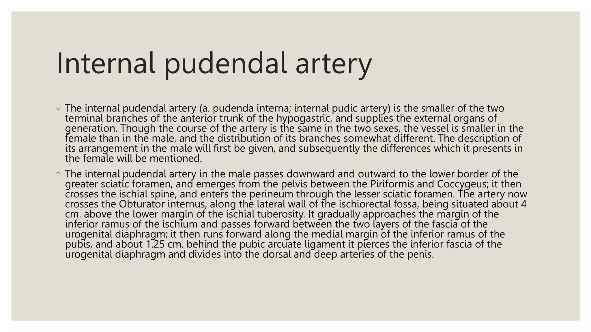 The common and internal iliac arteries.pptx