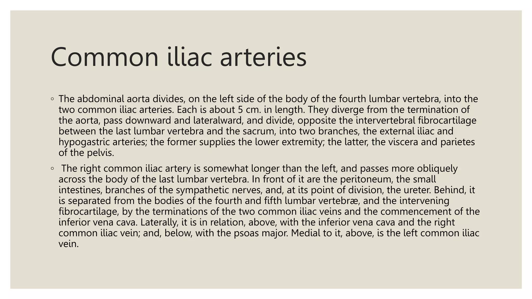 The common and internal iliac arteries.pptx