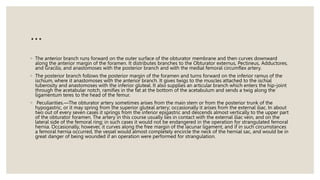 The common and internal iliac arteries.pptx