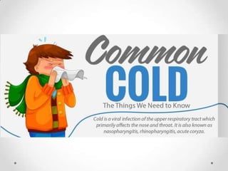 Common Cold Facts | PPTX | Lung and Respiratory Health | Diseases and ...