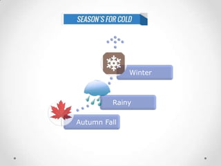 Common Cold Facts | PPTX | Lung and Respiratory Health | Diseases and ...