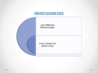 Common Cold Facts | PPT