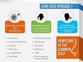 Common Cold Facts | PPTX | Lung and Respiratory Health | Diseases and Conditions