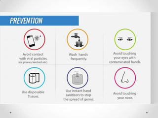 Common Cold Facts | PPTX | Lung and Respiratory Health | Diseases and ...
