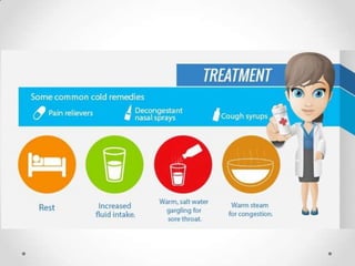 Common Cold Facts | PPTX | Lung and Respiratory Health | Diseases and ...