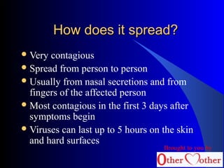 The common cold | PPT