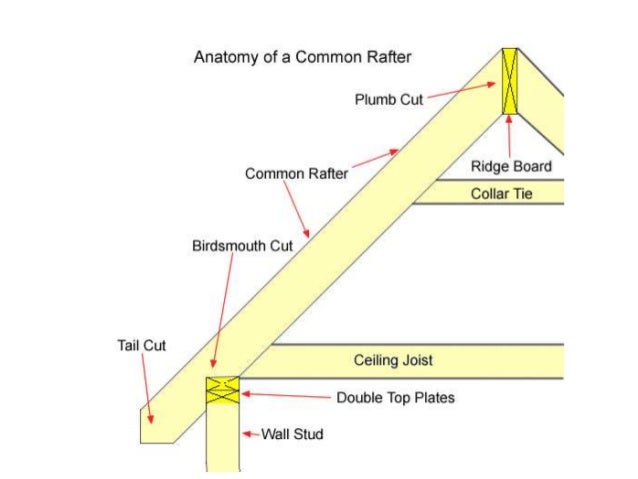 The common rafter ns