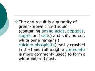 The Comparison Process Of Cremation Vs Alkaline Hydrolysis | PPT
