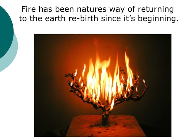 The Comparison Process Of Cremation Vs Alkaline Hydrolysis | PPT