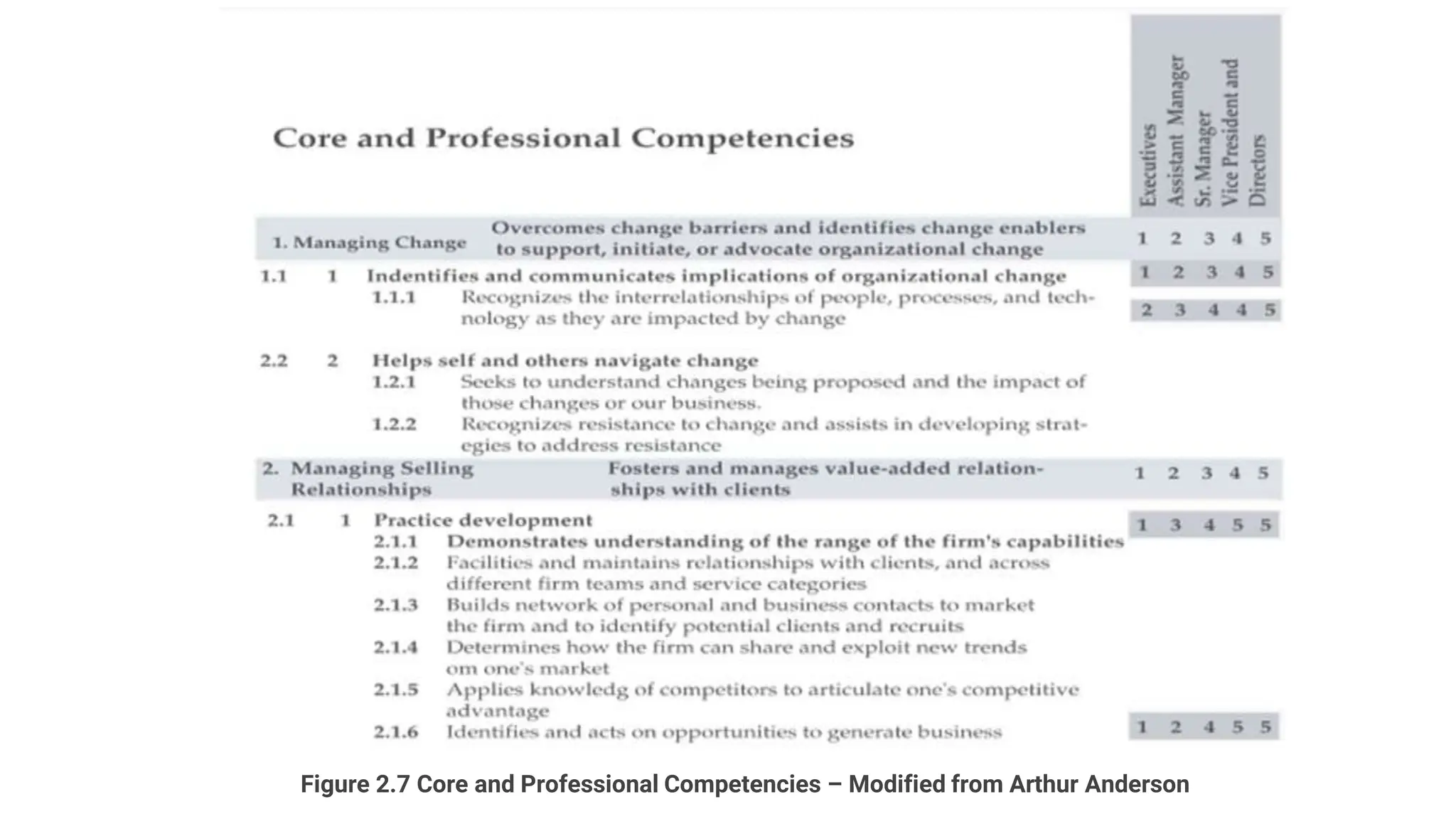 The Competency Development Process .pptx