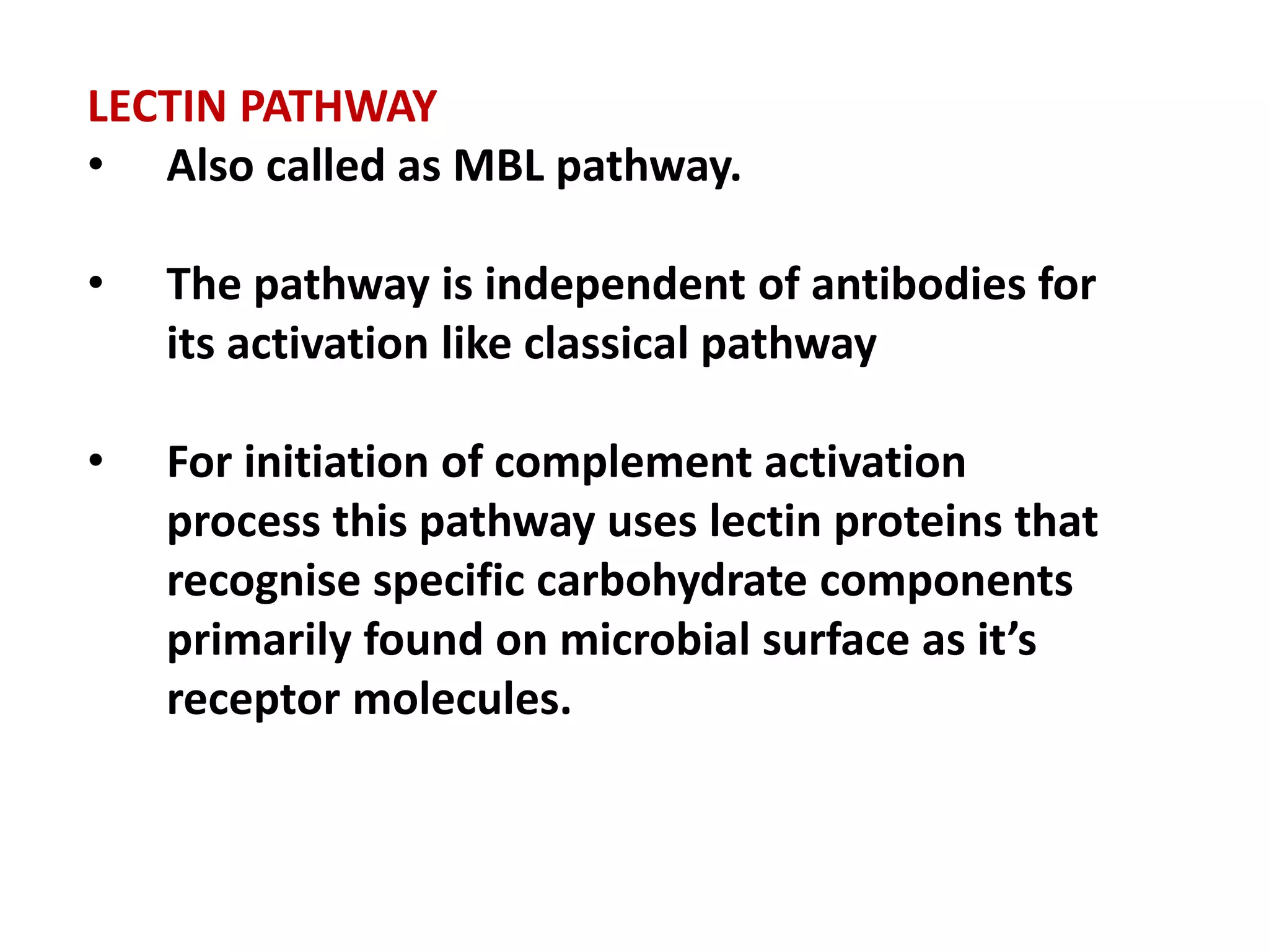 The complement system in immunology | PPTX