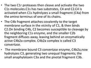 The complement system in immunology | PPTX