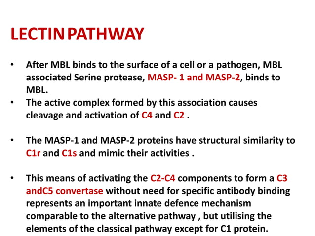 The complement system in immunology | PPTX | Blood Disorders | Diseases and Conditions