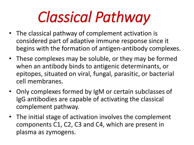 The complement system in immunology | PPTX | Blood Disorders | Diseases and Conditions