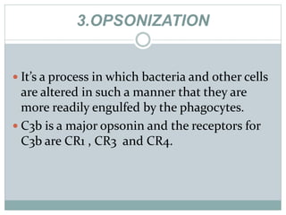 The complement system | PPTX