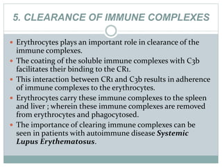 The complement system | PPTX