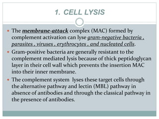 The complement system | PPTX