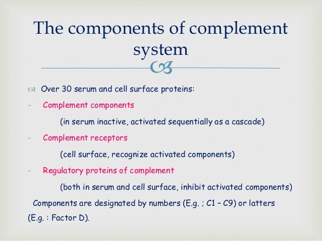 The complement system