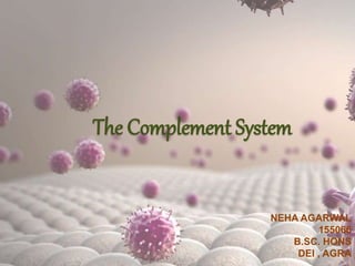 The complement system | PPTX | Blood Disorders | Diseases and Conditions