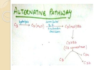 The complement system | PPTX
