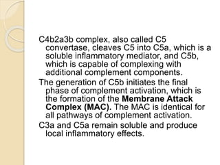 The complement system | PPTX | Blood Disorders | Diseases and Conditions