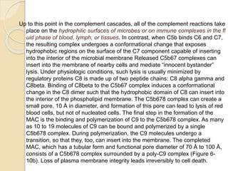 The complement system | PPTX | Blood Disorders | Diseases and Conditions