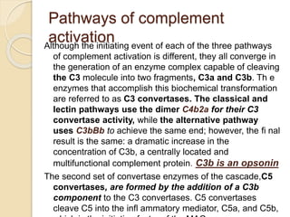 The complement system | PPTX | Blood Disorders | Diseases and Conditions