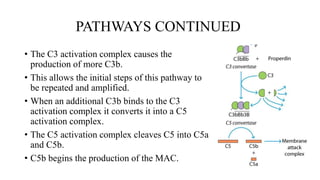 The complement system | PPTX