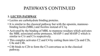 The complement system | PPTX | Blood Disorders | Diseases and Conditions