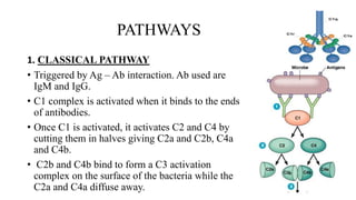 The complement system | PPTX | Blood Disorders | Diseases and Conditions