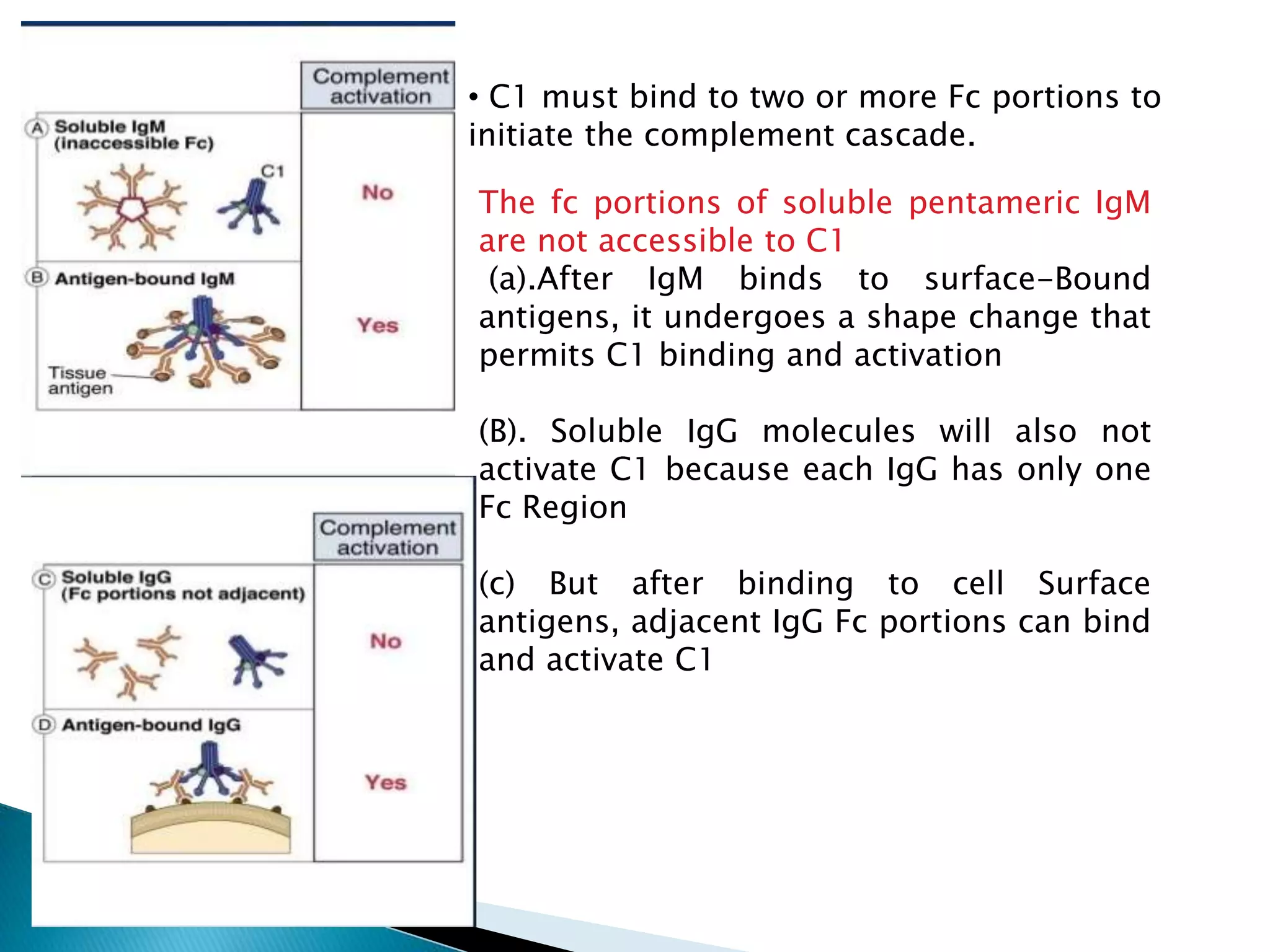 The complement system | PPTX