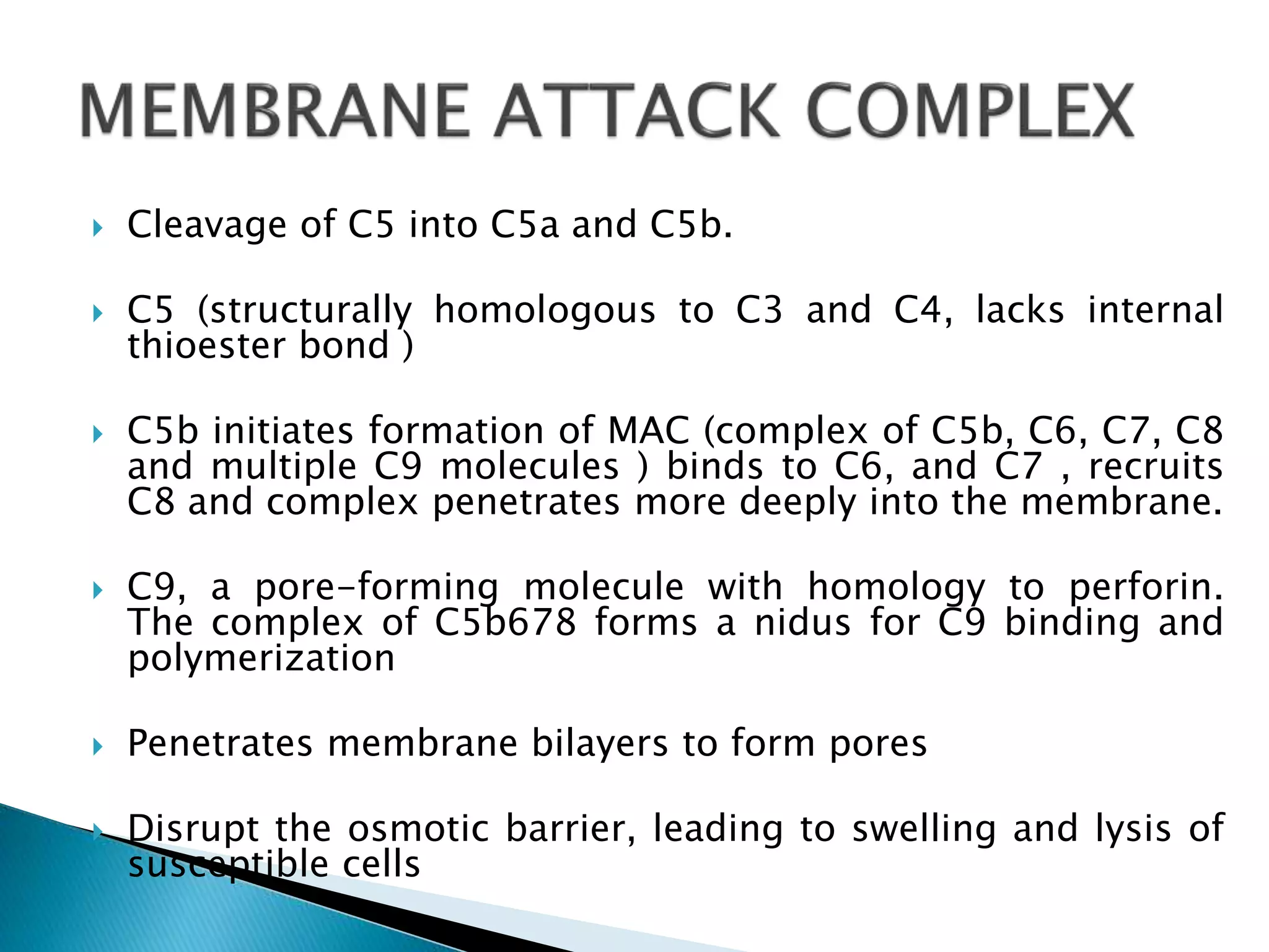 The complement system | PPTX