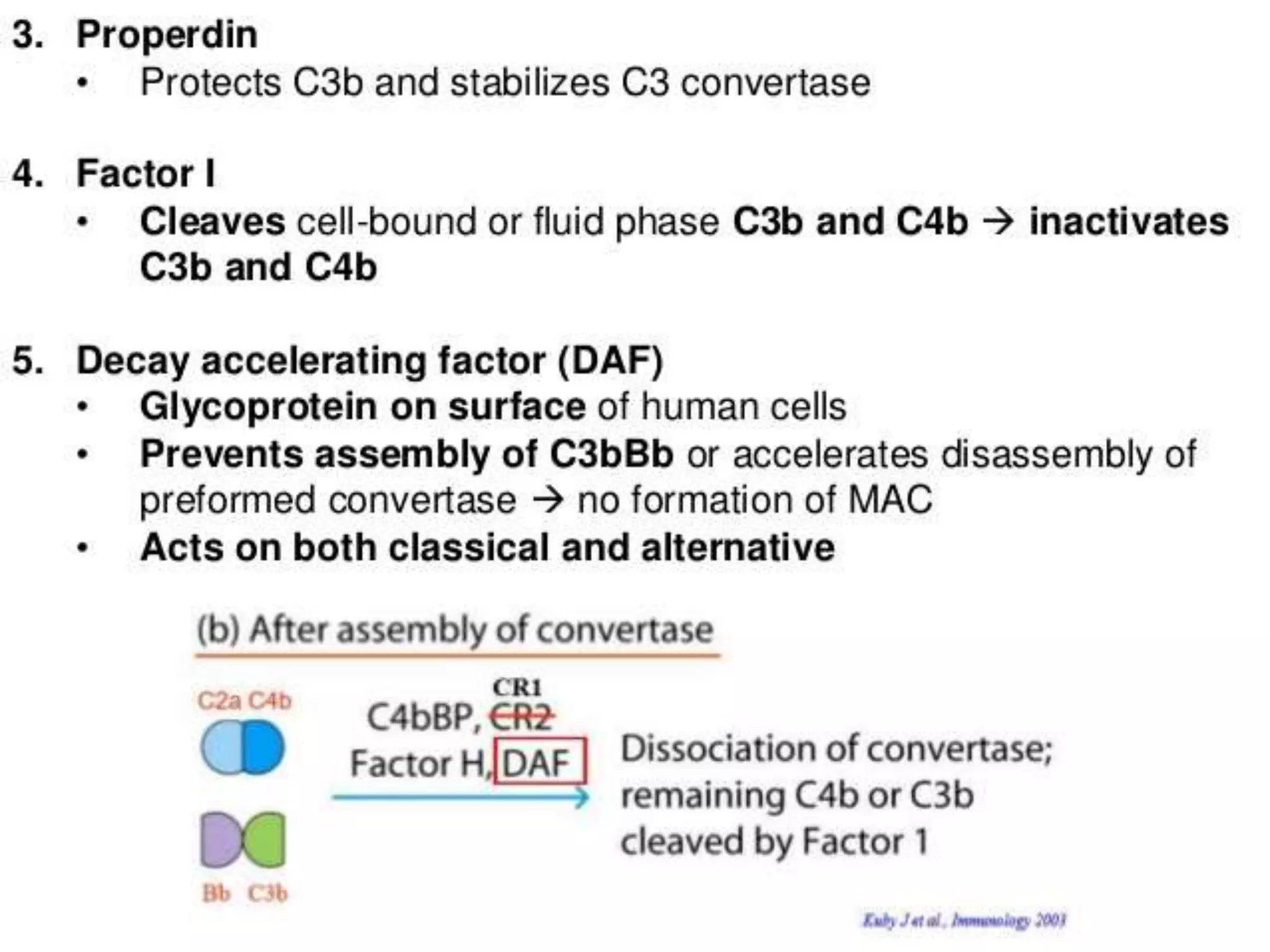 The complement system | PPTX