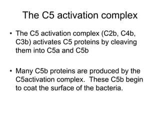 The complement system | PPT | Blood Disorders | Diseases and Conditions