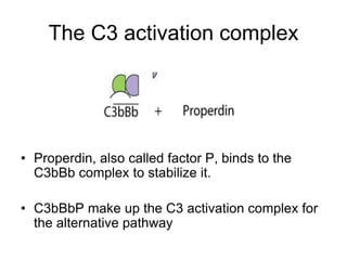 The complement system | PPT | Blood Disorders | Diseases and Conditions