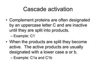 The complement system | PPT | Blood Disorders | Diseases and Conditions
