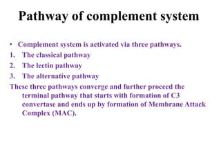 The complement system | PPT