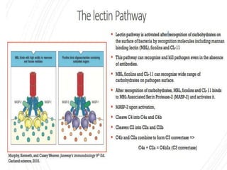 The complement system | PPT