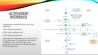 The complement system | PPT