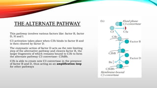 The complement system | PPT