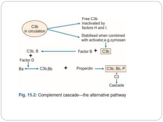 The Complement System and microbiology course | PDF