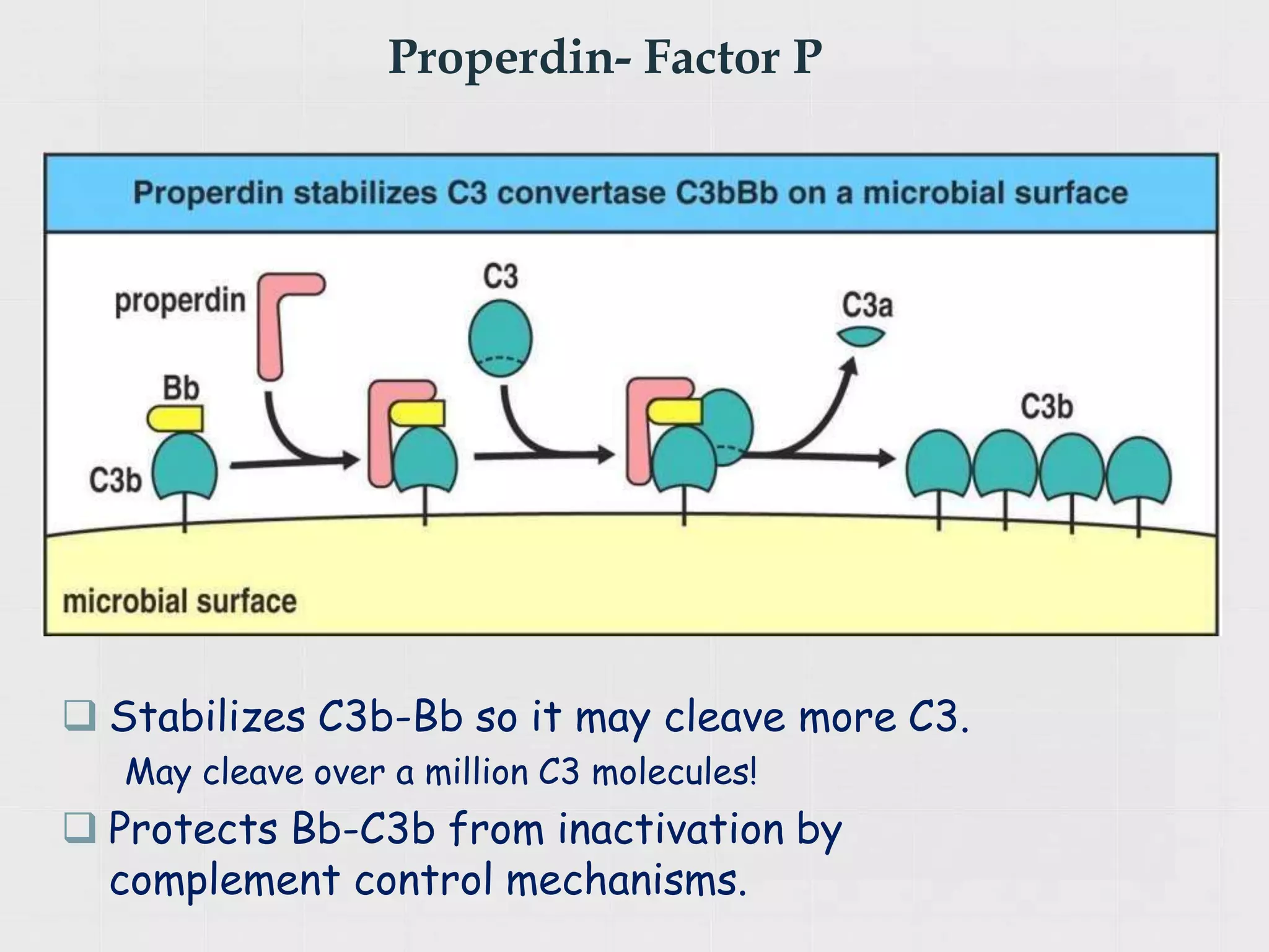 thecomplementsystem- lecture 4.pptx