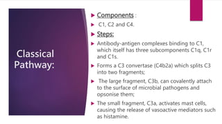 The Complement system by Tanzeela Iftikhar.pptx